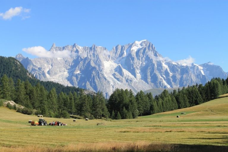 Viaggio alla scoperta delle Alpi - Esperienziando Vitae